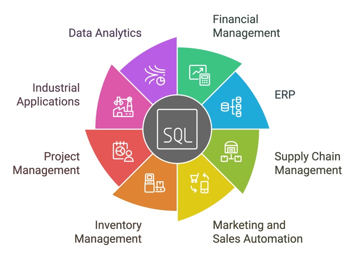 Large Scale Software Development (The Basics Explained)